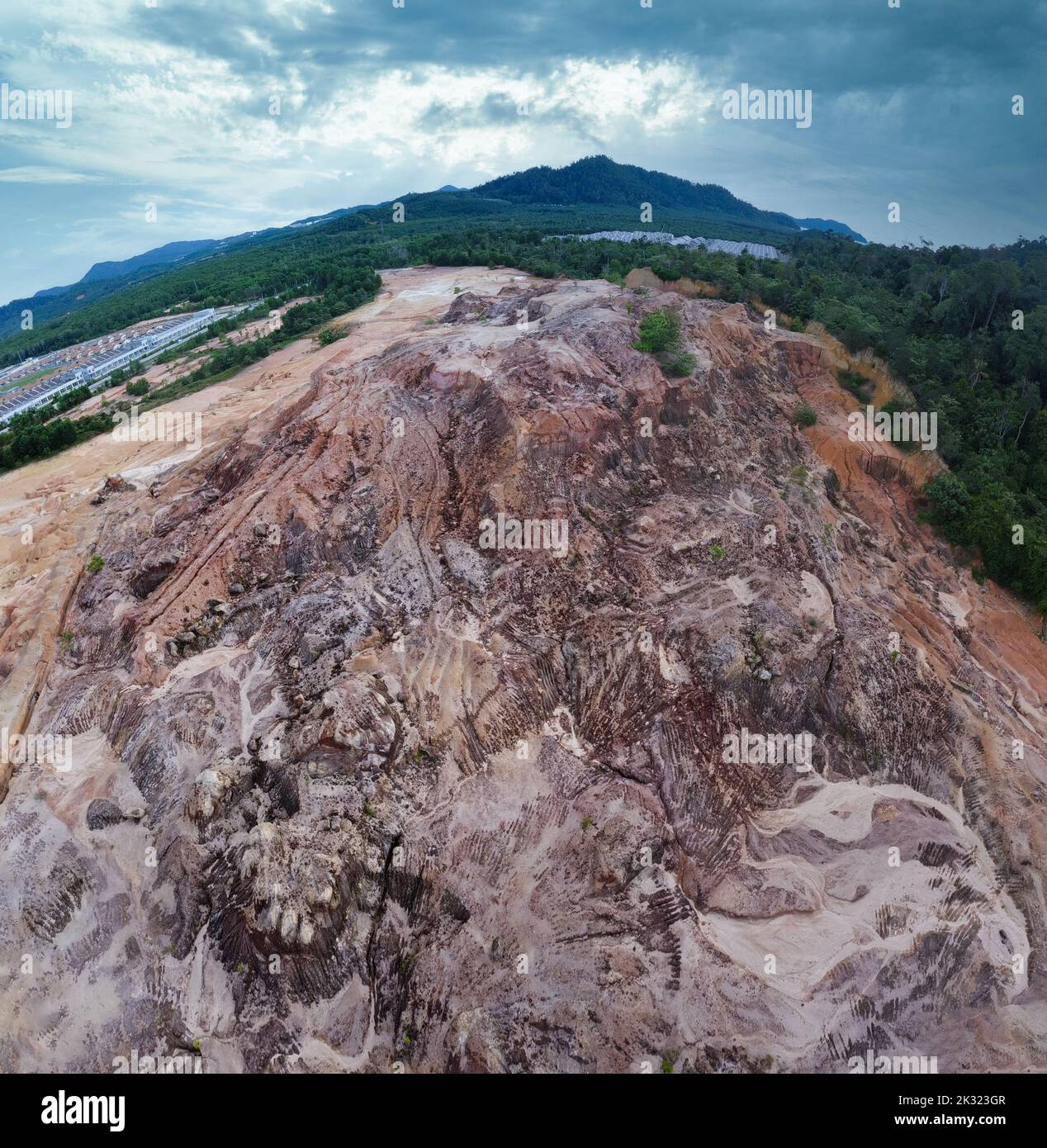 land erosion after deforestation of trees Stock Photo - Alamy