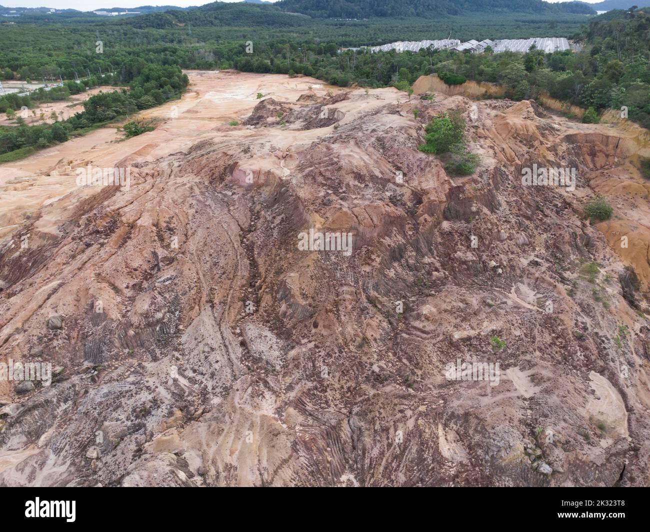 land erosion after deforestation of trees Stock Photo - Alamy