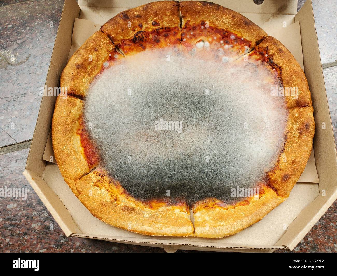 The pizza you forgot about for a week. and she got moldy Stock Photo ...