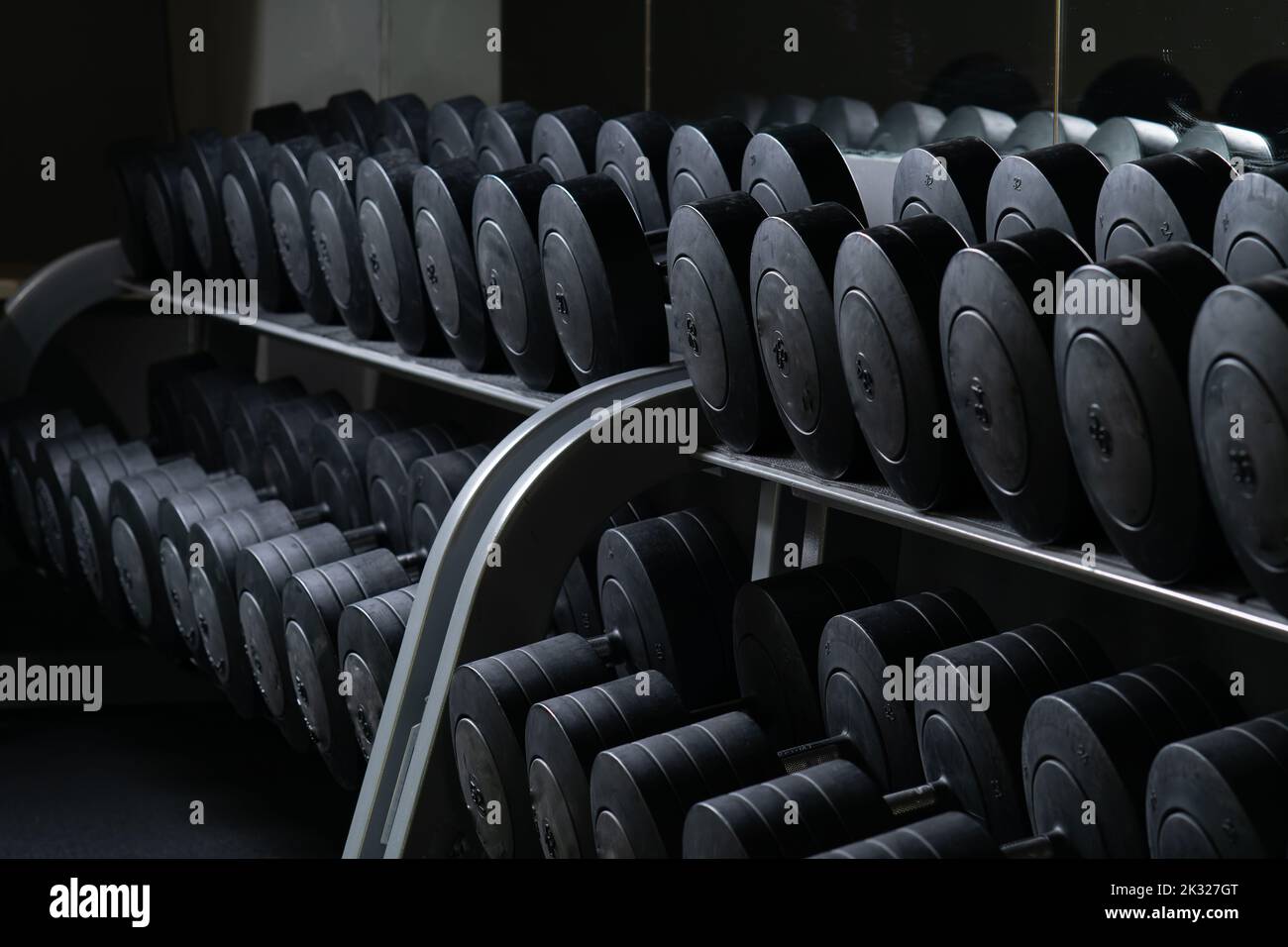 Fitness workout exercise gym sport weight training muscle isolated ...