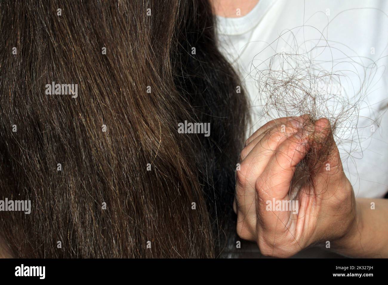 A girl with long dark hair holds a bunch of fallen hair in her hand ...