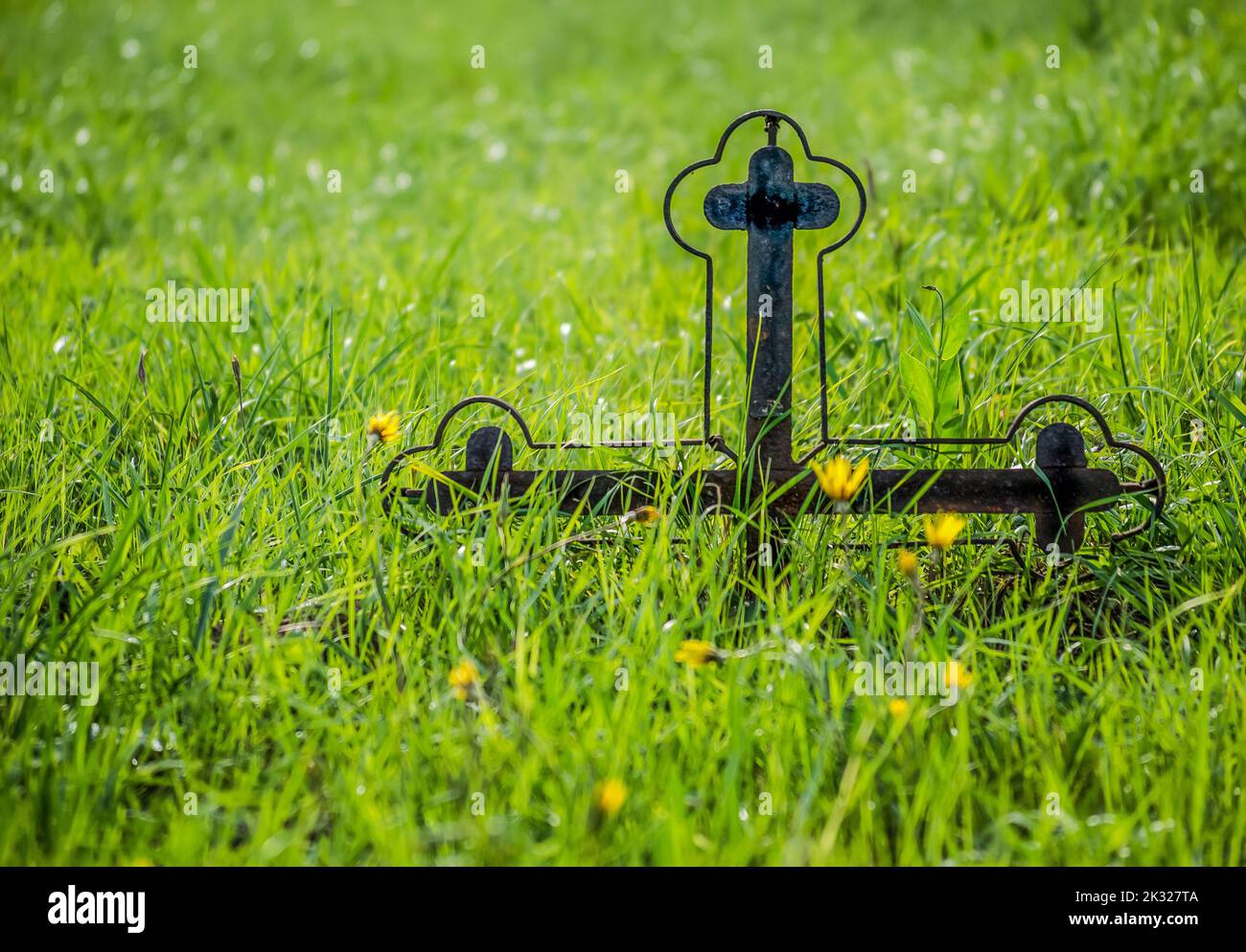 Tombstones in the old cemetery. A metal tombstone cross in an old ...