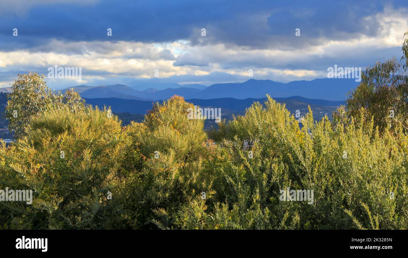 A natural view of trees and mountain landscape in Canberra, ACT ...