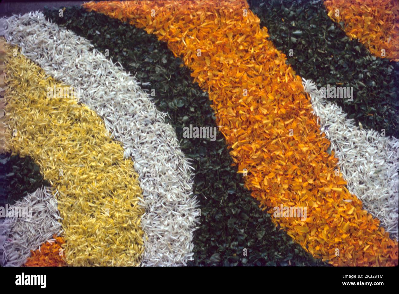 Flower Rangoli with Indian Flag Colours Stock Photo - Alamy