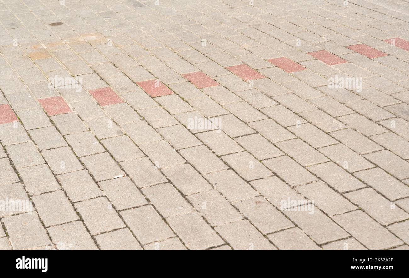 Gray paving stones with moss in the joints. The pavement from the ...