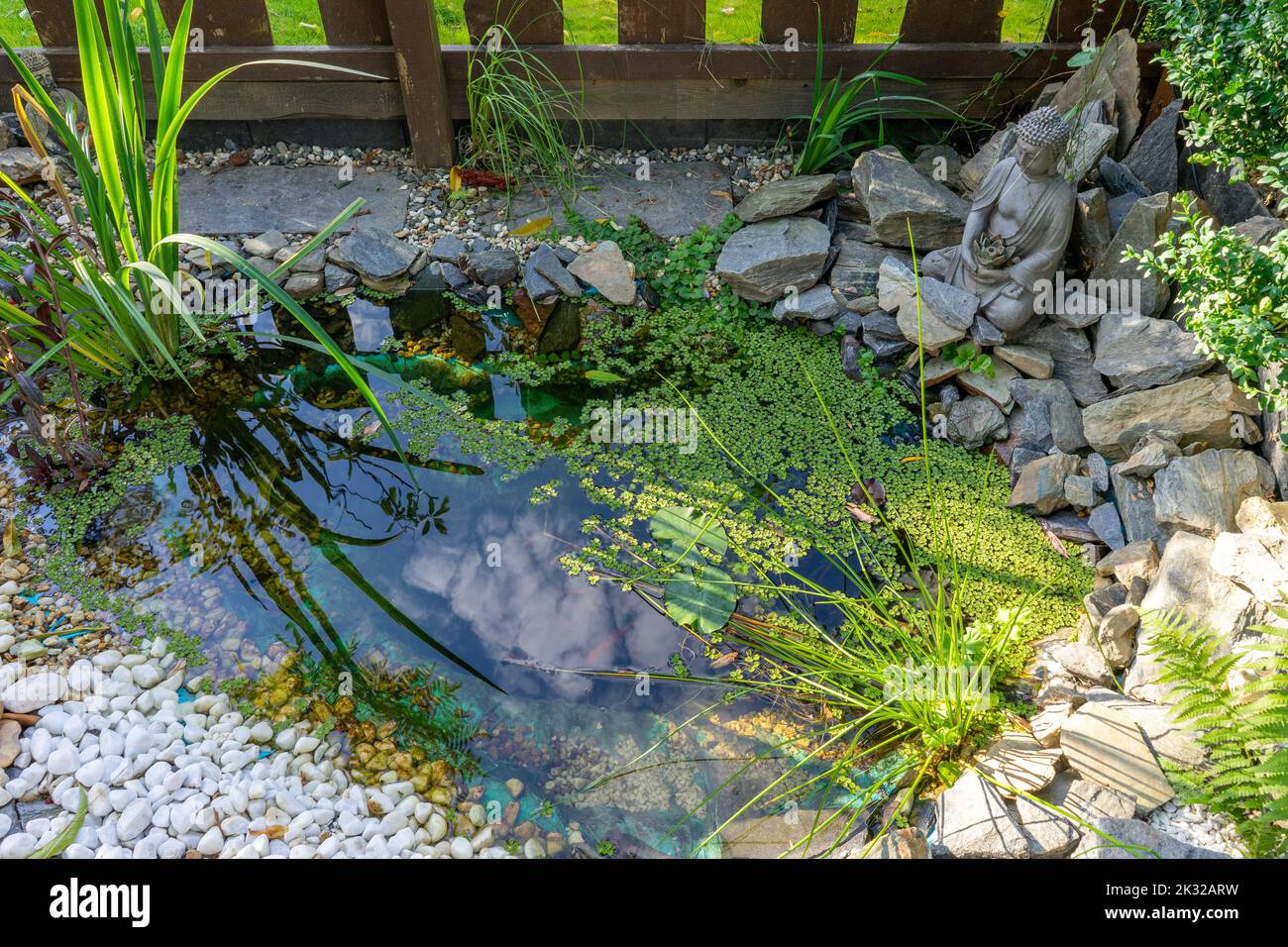 Japanese garden pond with a Buddha Stock Photo - Alamy