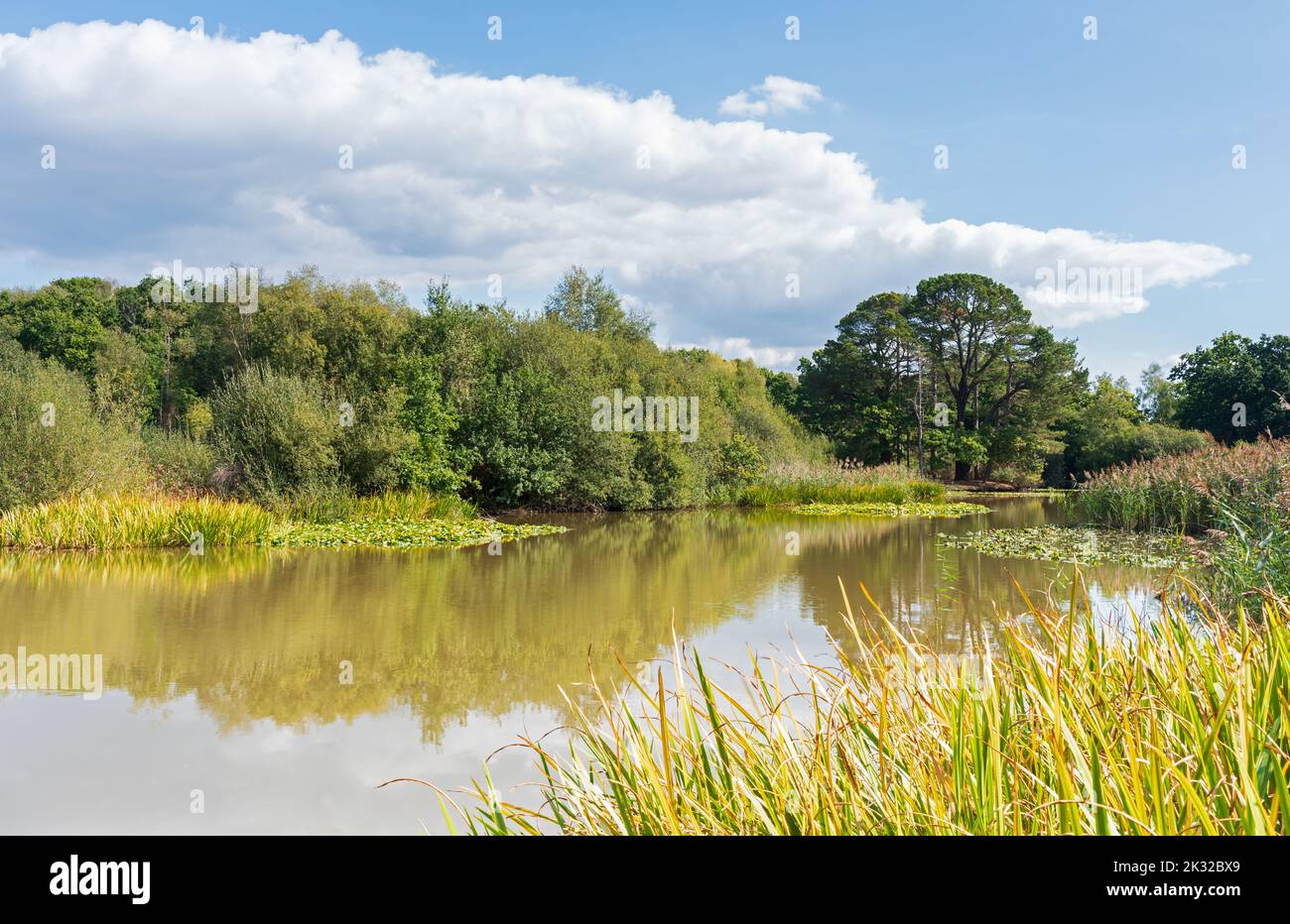 The Ornamental Lake (Fishing Lake) on Southampton Common, Hampshire, UK ...