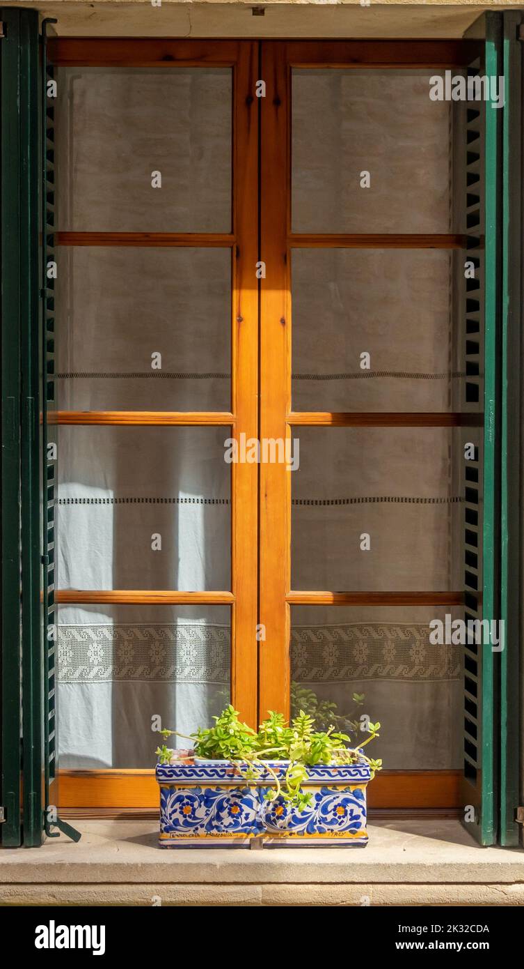 Frame of a vertical wooden window with a small flower pot Stock Photo ...