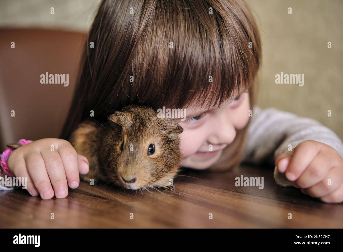 Cute happy smiling baby girl playing with his pet. Closeup view of cute ...