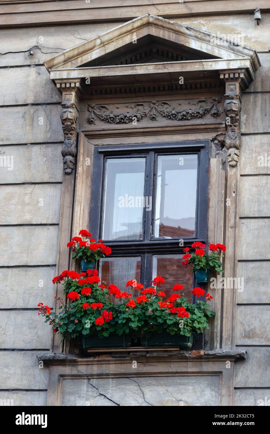 Window with a decorative baroque facade. Window with a decorative ...