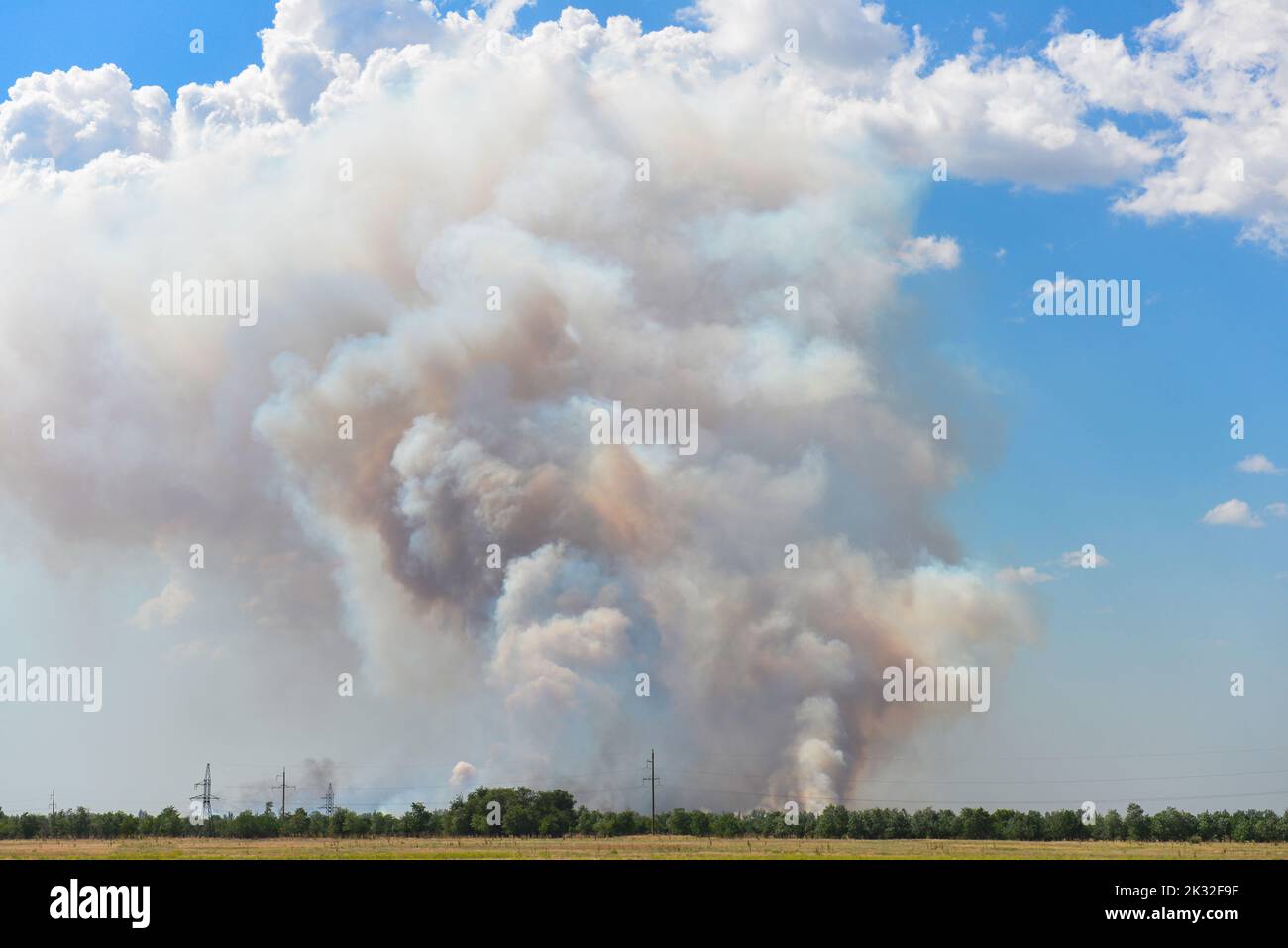 Summer firefighter hi-res stock photography and images - Alamy