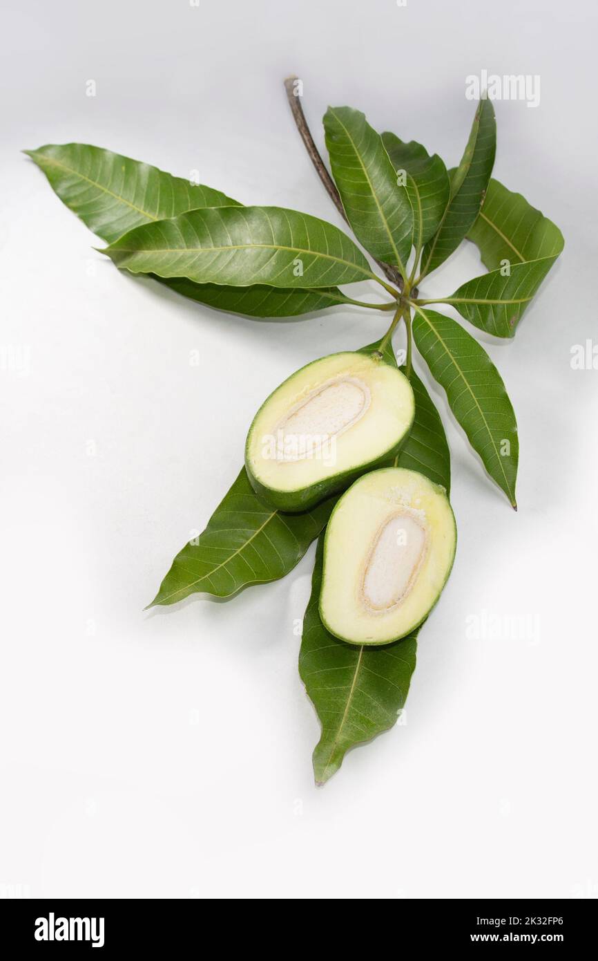 Mango with leaf hi-res stock photography and images - Alamy