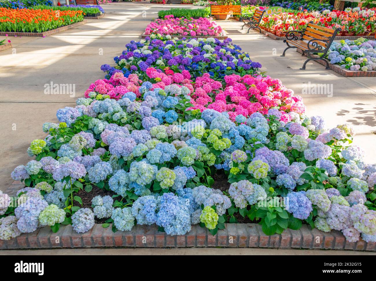 The inside view of the flower shed in the“Hua Wu Ren Ren” scenic spot ...