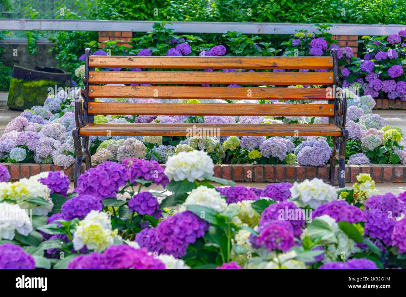 The inside view of the flower shed in the“Hua Wu Ren Ren” scenic spot ...