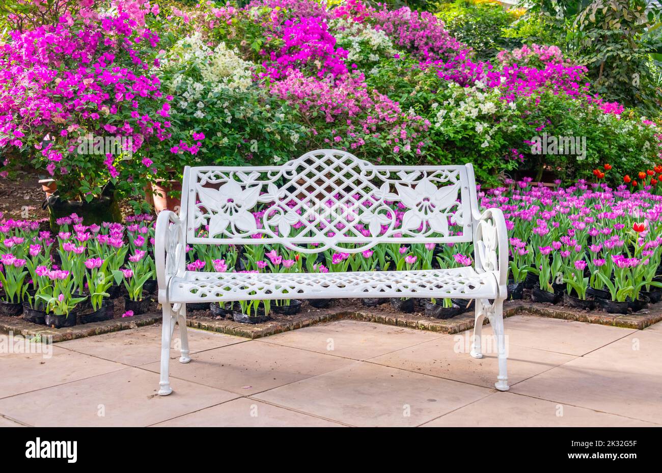 The inside view of the flower shed in the“Hua Wu Ren Ren” scenic spot ...