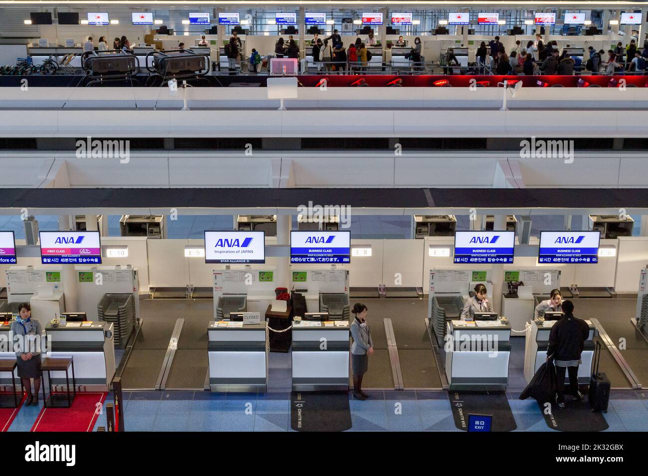 Check in desks at Haneda International Airport, Tokyo Stock Photo - Alamy