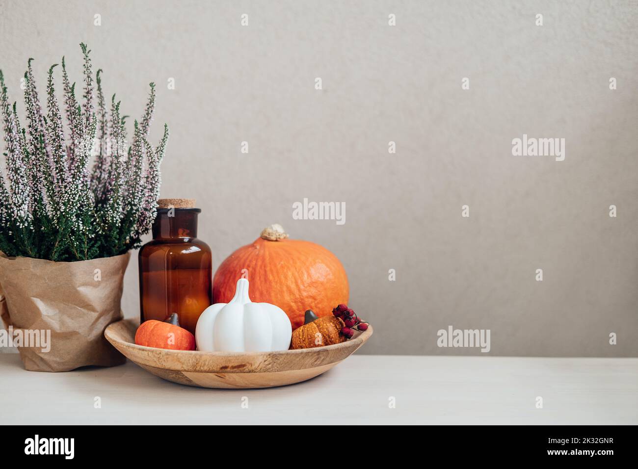 Sustainable Eco-Friendly Autumn Thanksgiving day web banner background ...