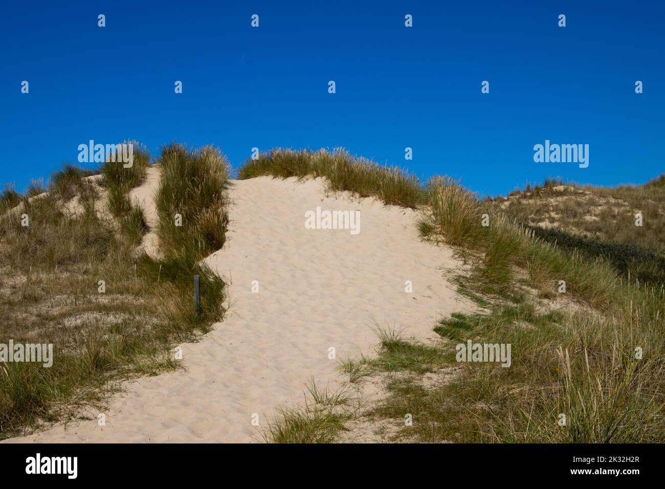 Dune footpath hi-res stock photography and images - Alamy