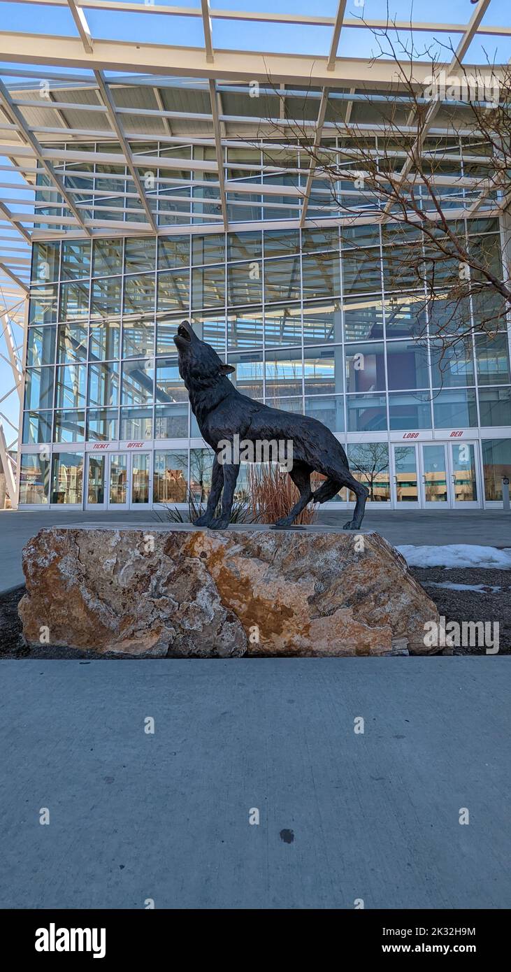 A vertical shot of a statue of a Lobo at the University of New Mexico's ...