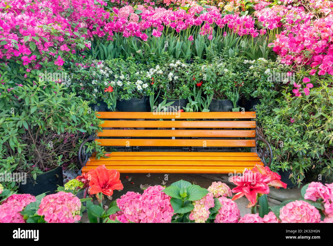 The inside view of the flower shed in the“Hua Wu Ren Ren” scenic spot ...