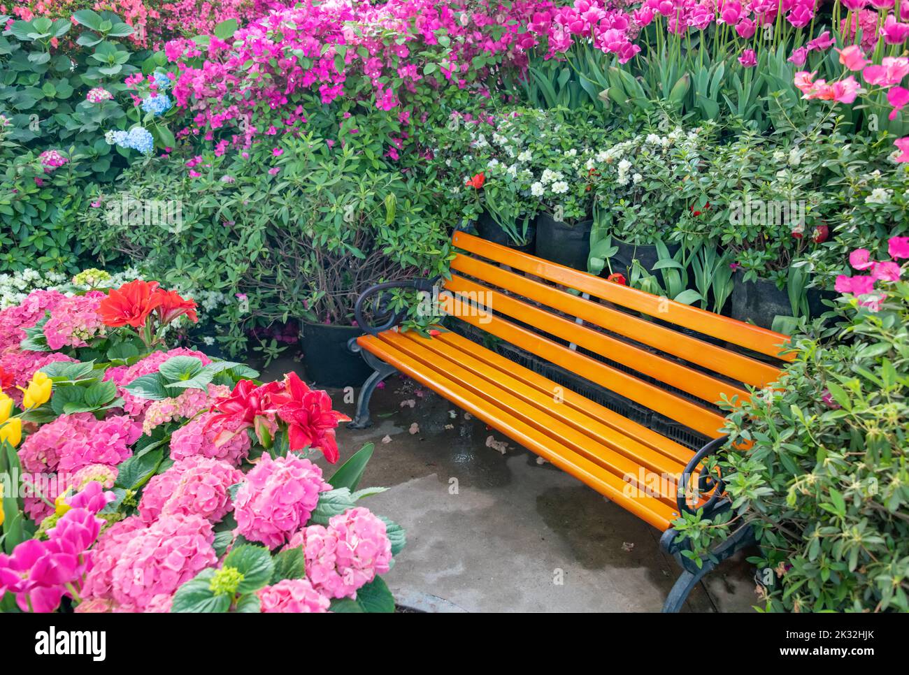 The inside view of the flower shed in the“Hua Wu Ren Ren” scenic spot ...