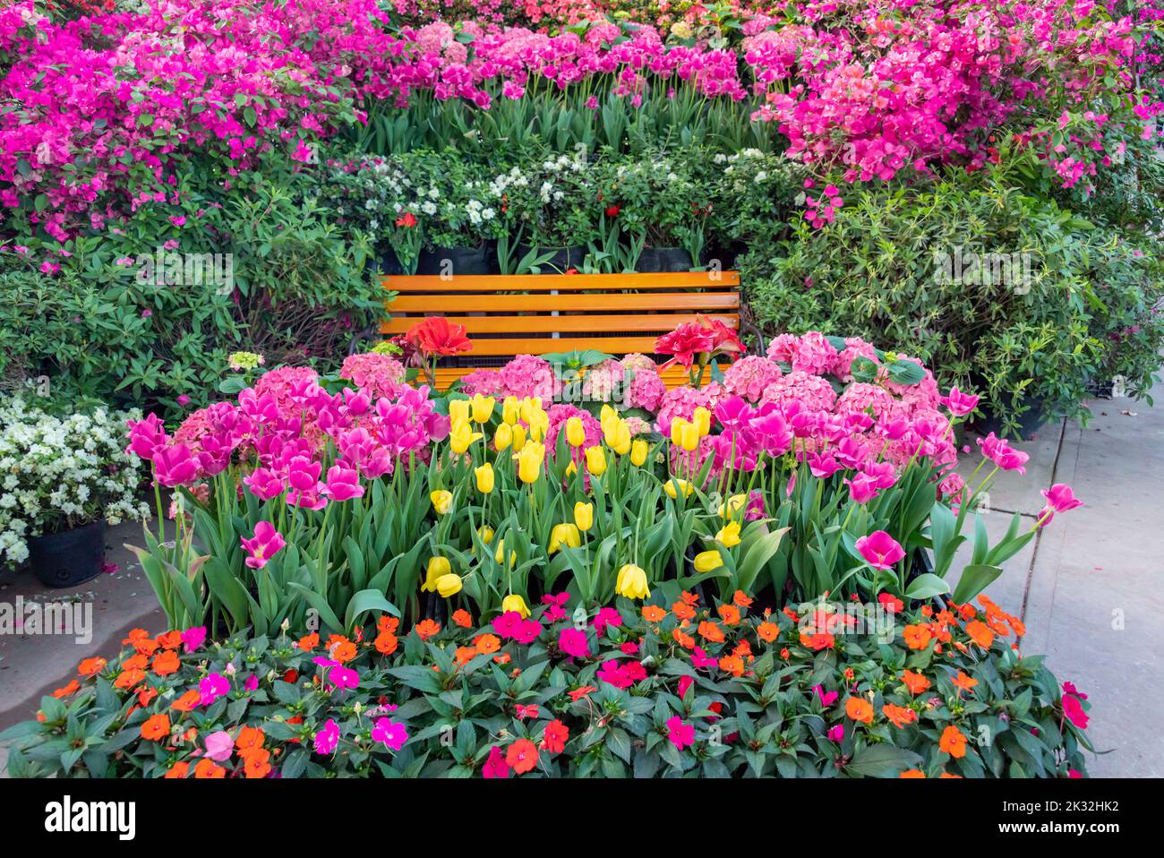 The inside view of the flower shed in the“Hua Wu Ren Ren” scenic spot ...