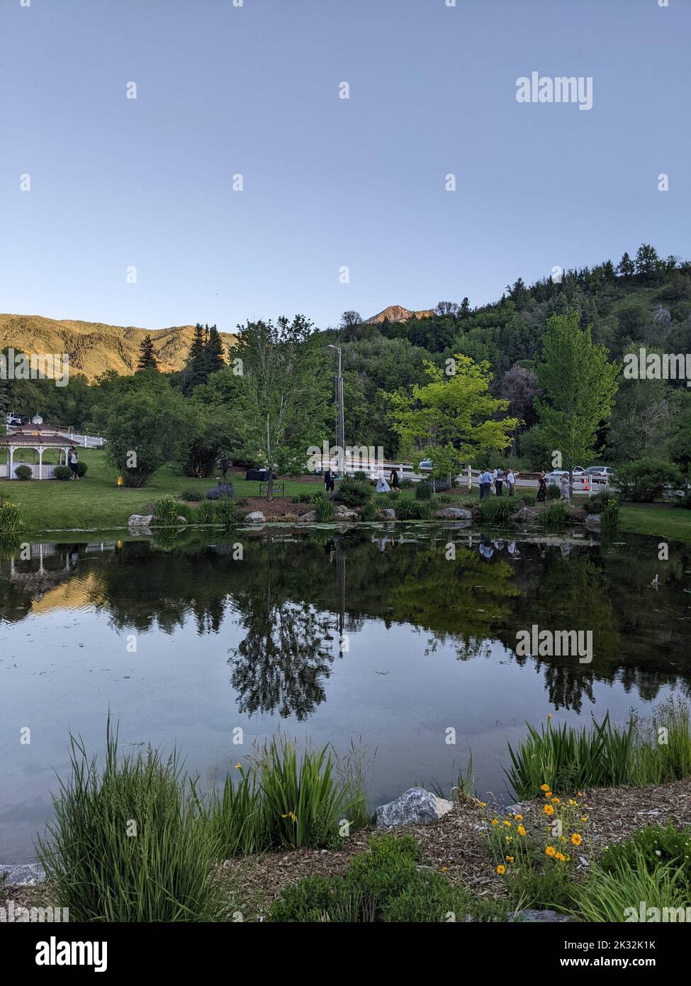A beautiful view of a reflective lake in a village with green trees ...