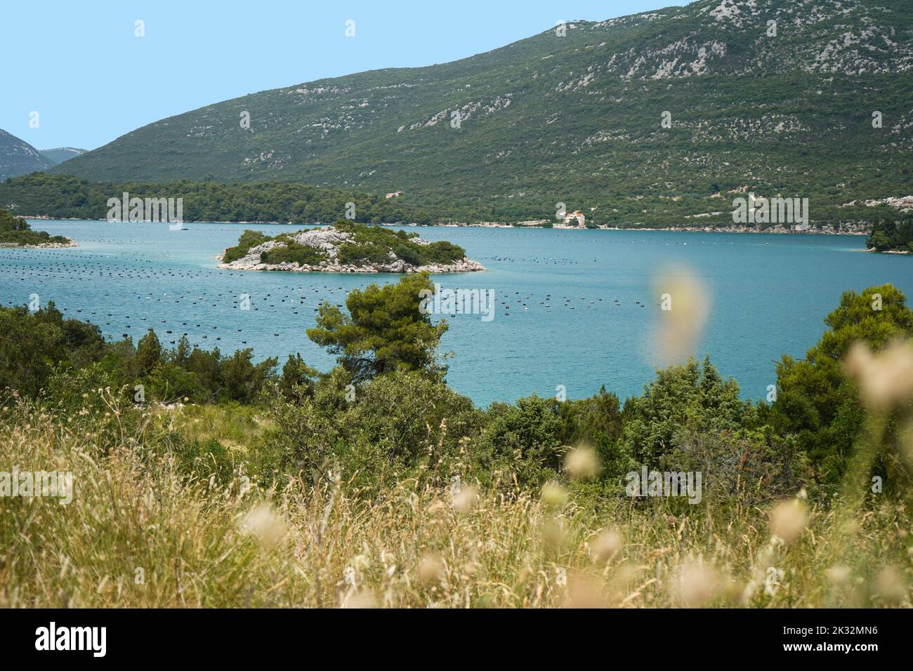 Sea shell oyster farm in Ston bay, Dalmatia region of Croatia Stock ...