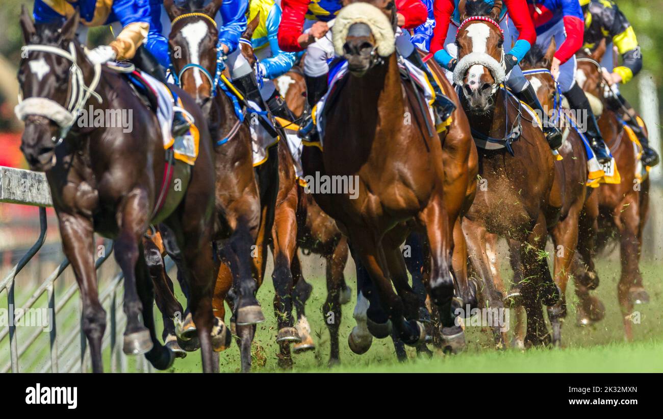 Horse racing animals jockey's grass track action close-up abstract ...
