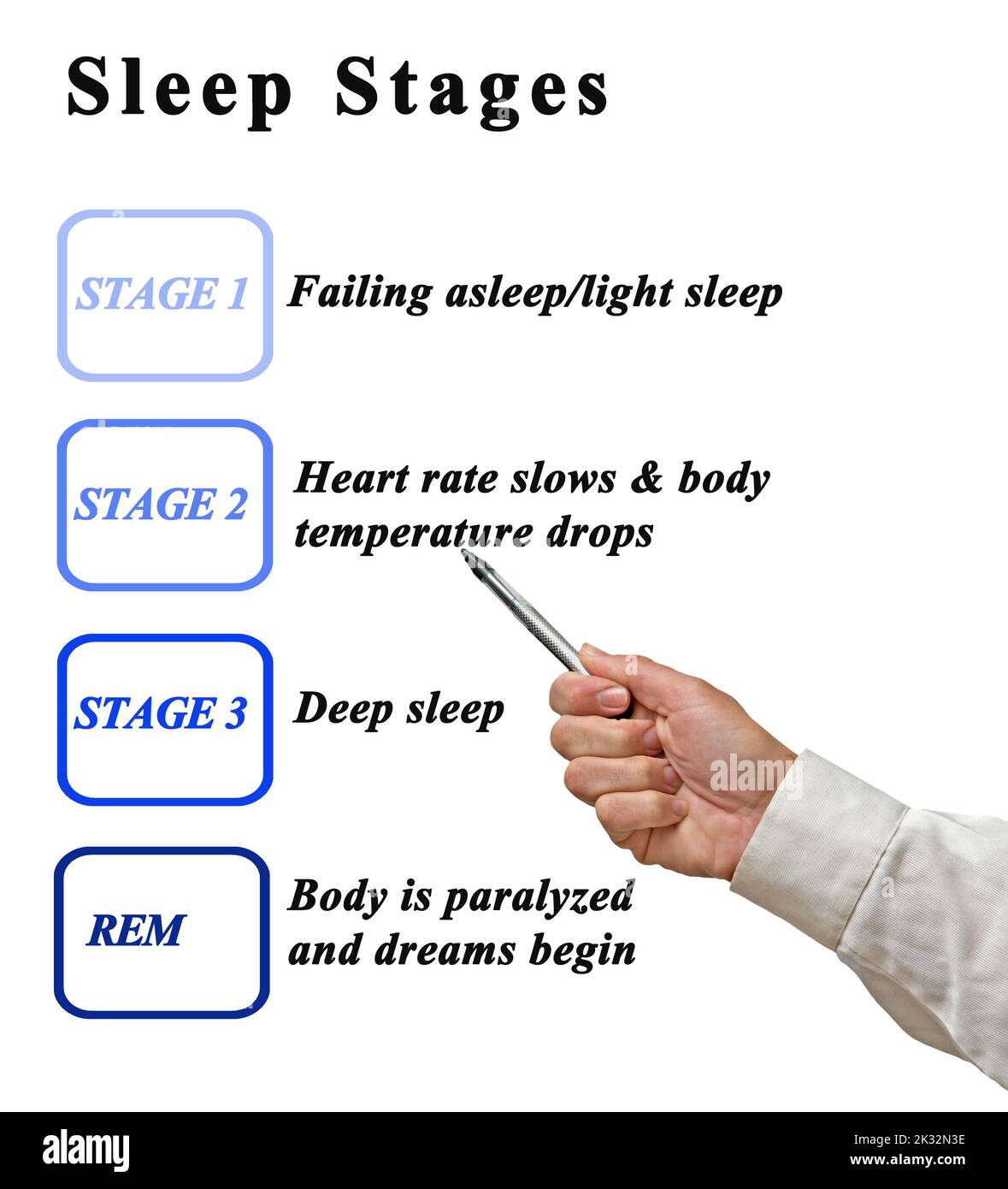 Man Presenting Four Sleep Stages Stock Photo - Alamy