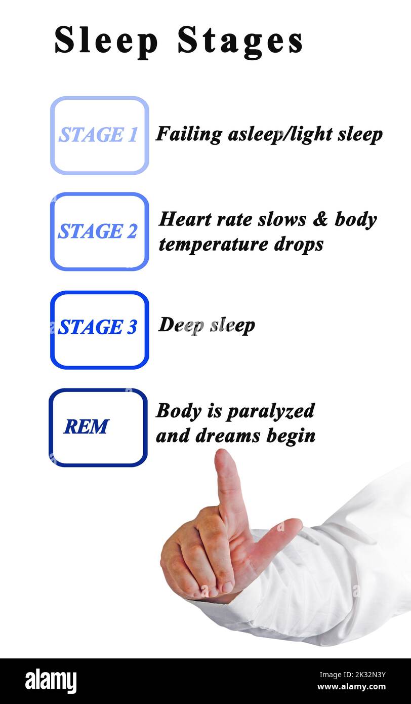 Sleep stages hi-res stock photography and images - Alamy