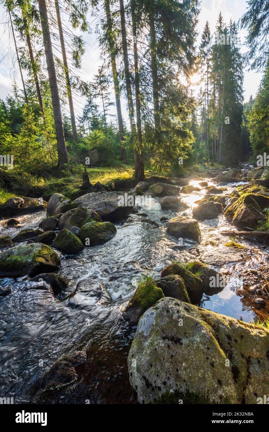 Potucky (Breitenbach) : valley of river Cerna (Schwarzwasser), stream ...
