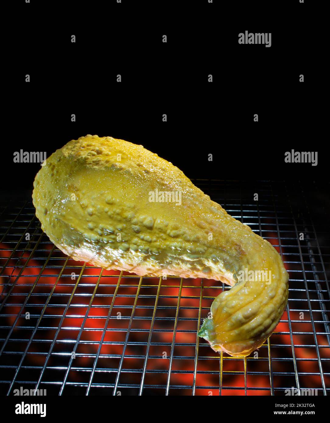 Copy space above a grilling yellow squash on a metal grate Stock Photo ...