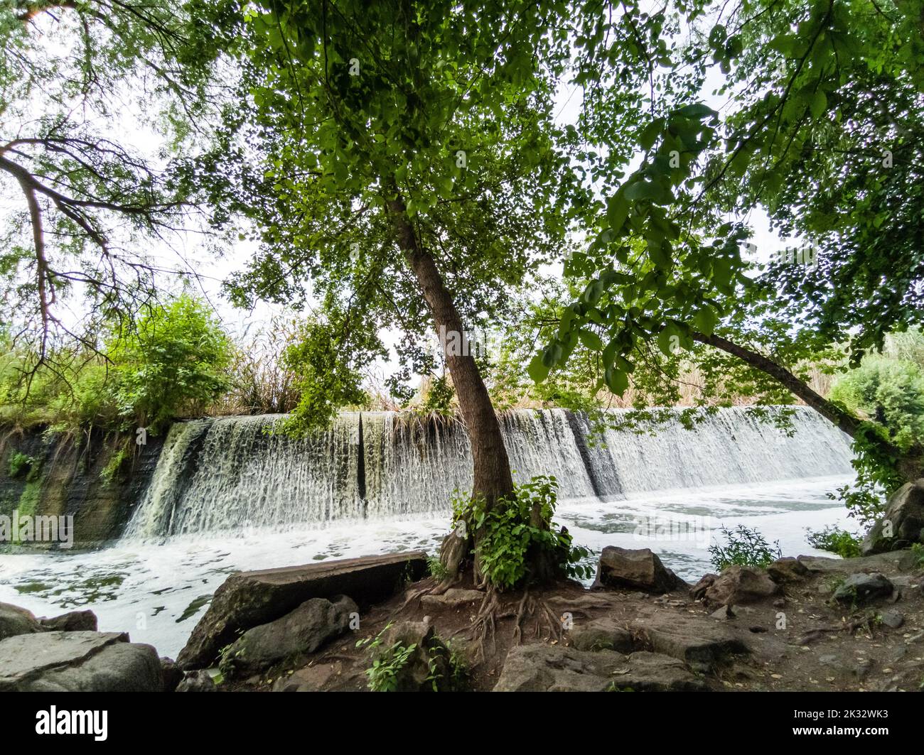 Tree between waterfalls .Small waterfall in park Stock Photo - Alamy