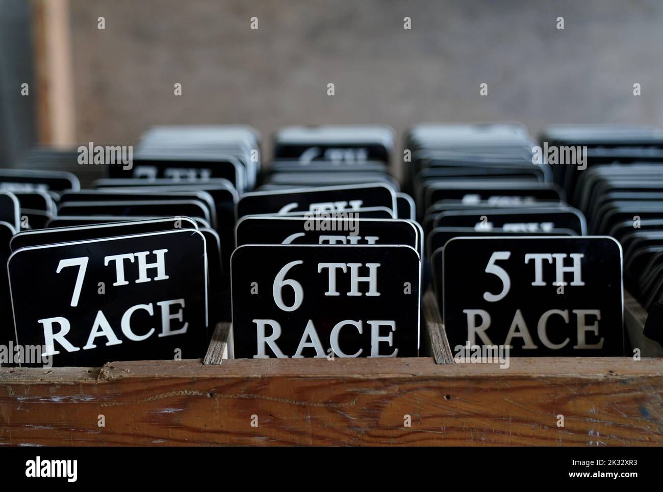 Race arm bands in the pre-parade ring ahead of racing on the Juddmonte ...
