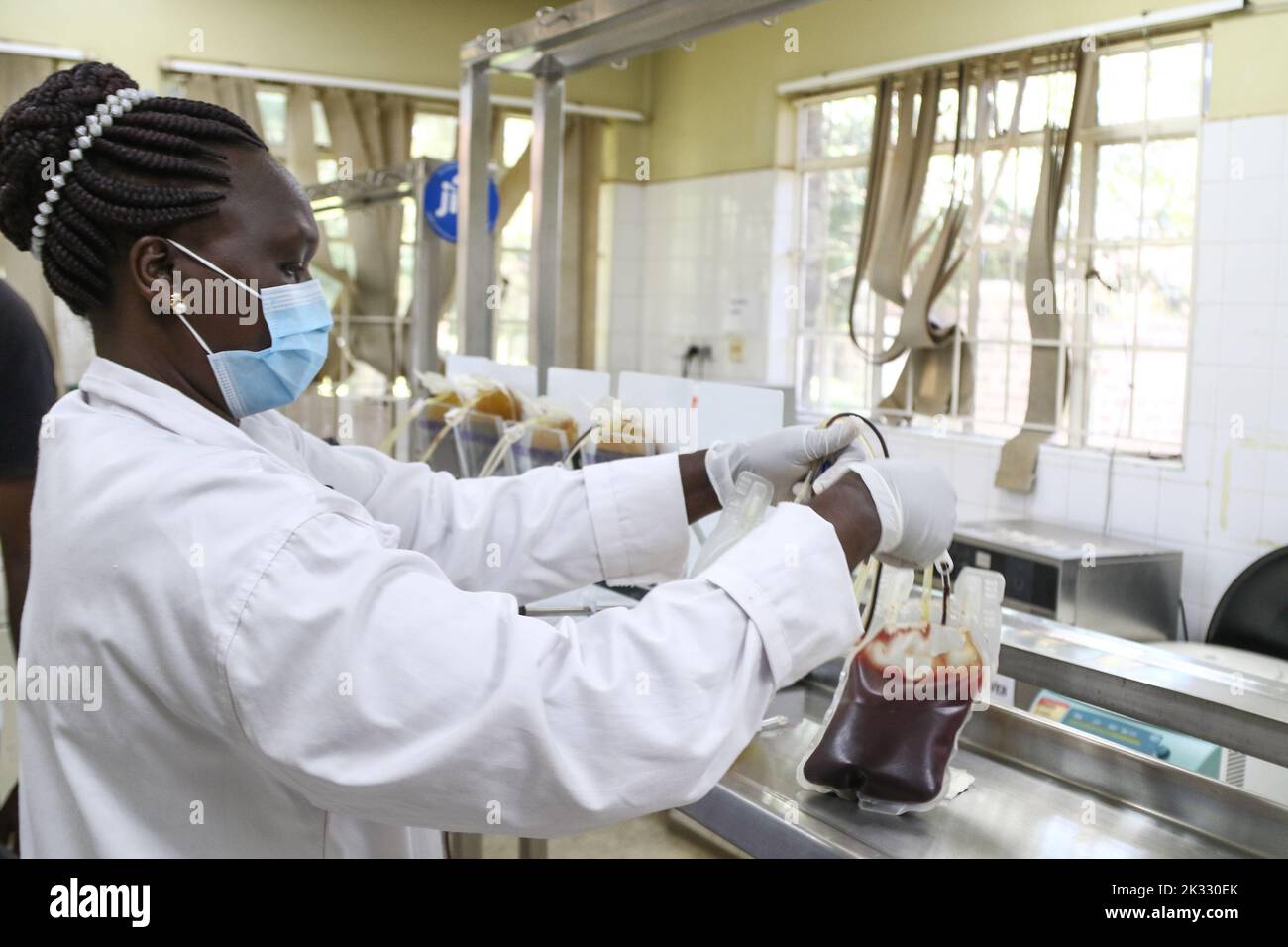 A laboratory technologist separates and processes blood into its ...