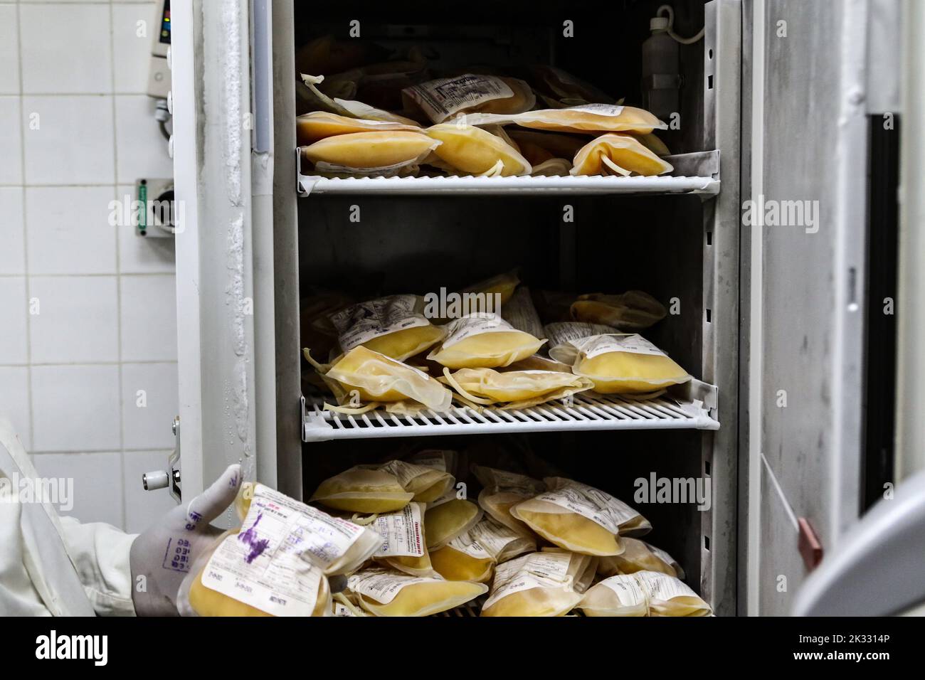 Bags of processed blood plasma seen placed in the freezer at Nakuru ...