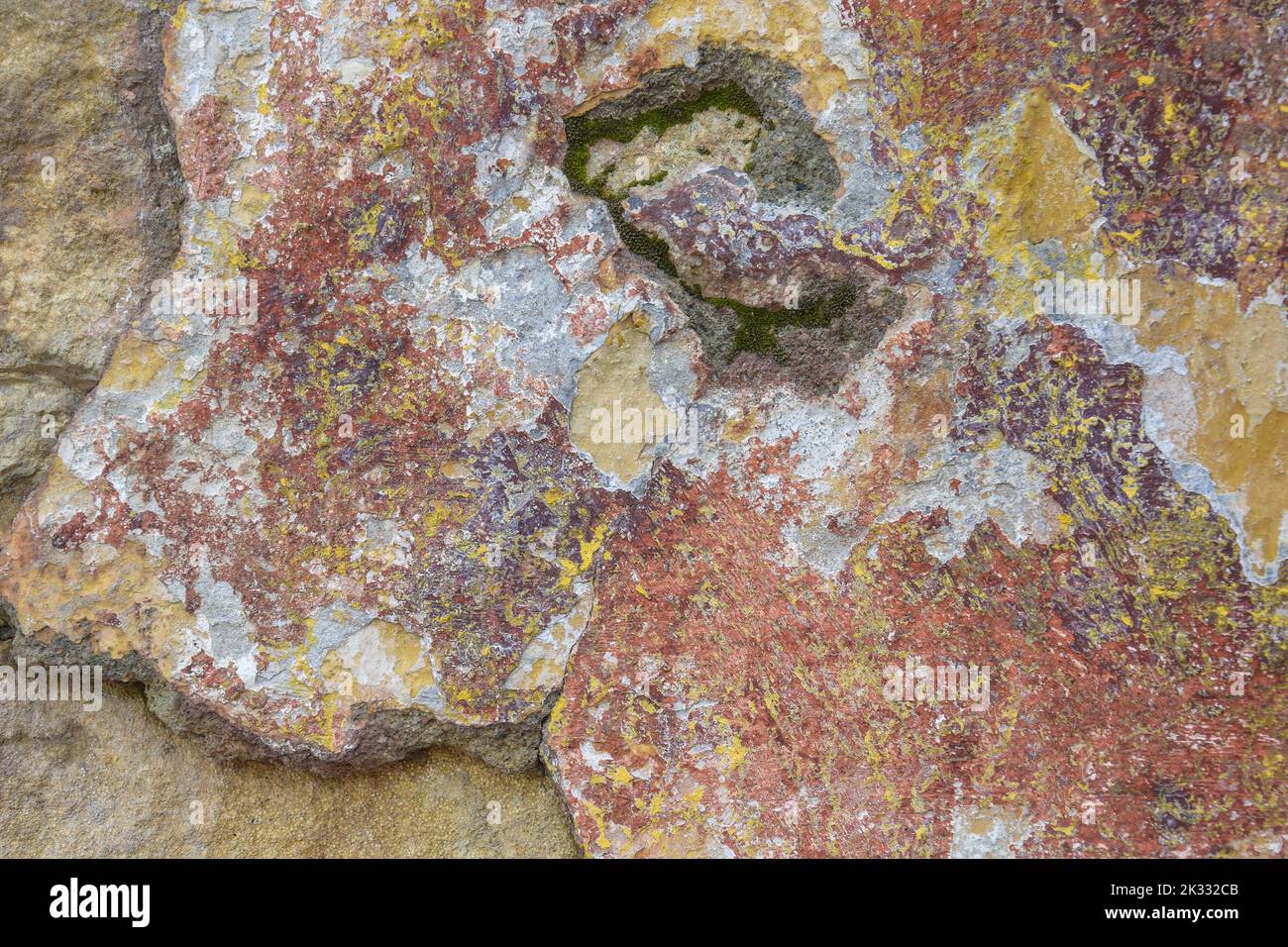 Texture of old plastered wall with remnants of paint, cracks and green ...