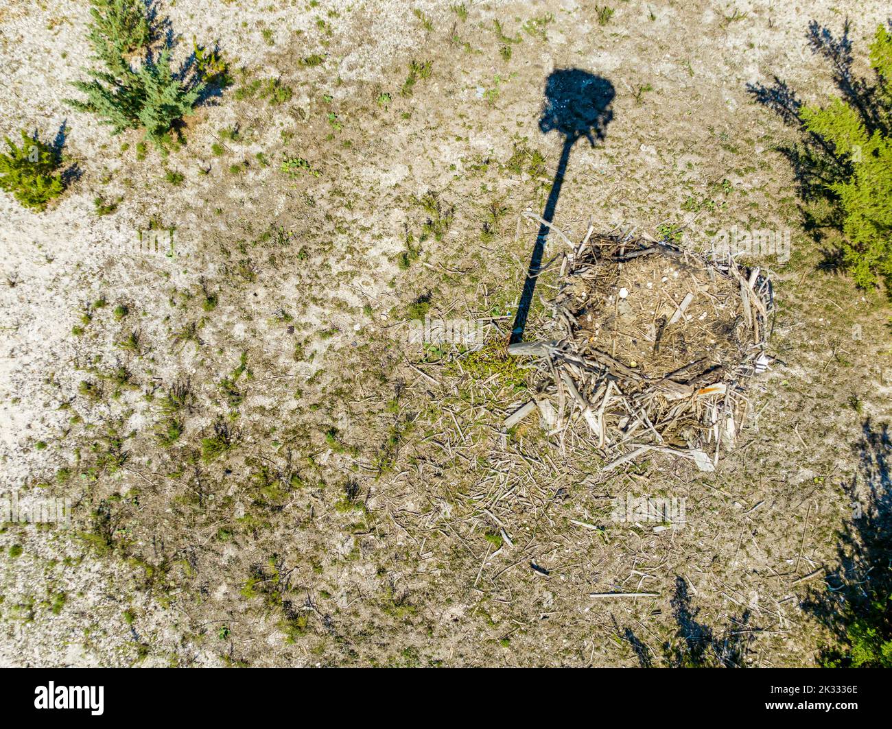 aerial view of an osprey nest Stock Photo - Alamy