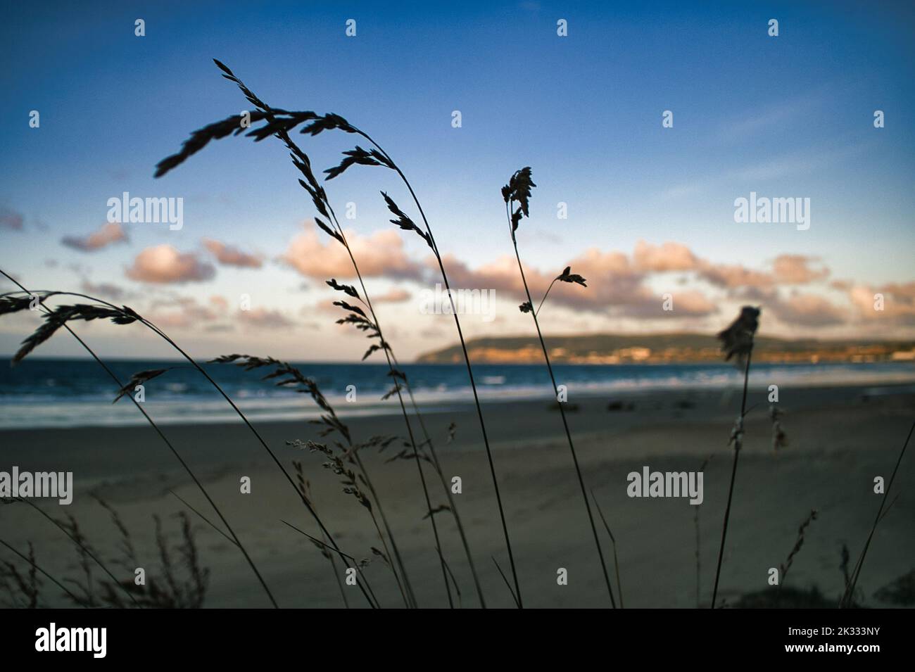 A beautiful shot of a sunset sky over the sandy beach Stock Photo - Alamy