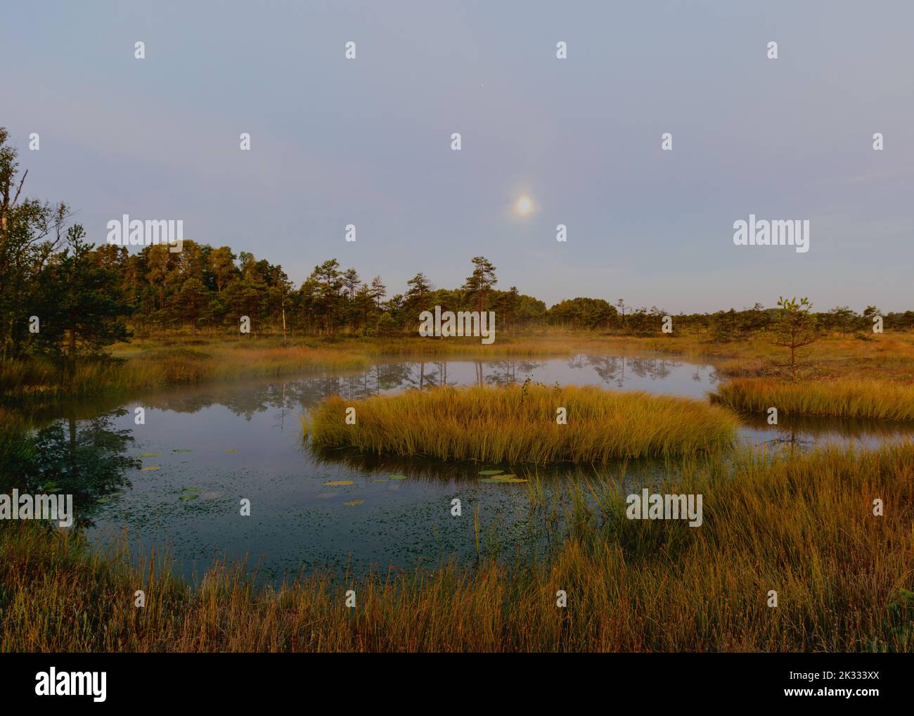 amazing sunrise picture with gorgeous sky, marsh at sunrise, magical ...