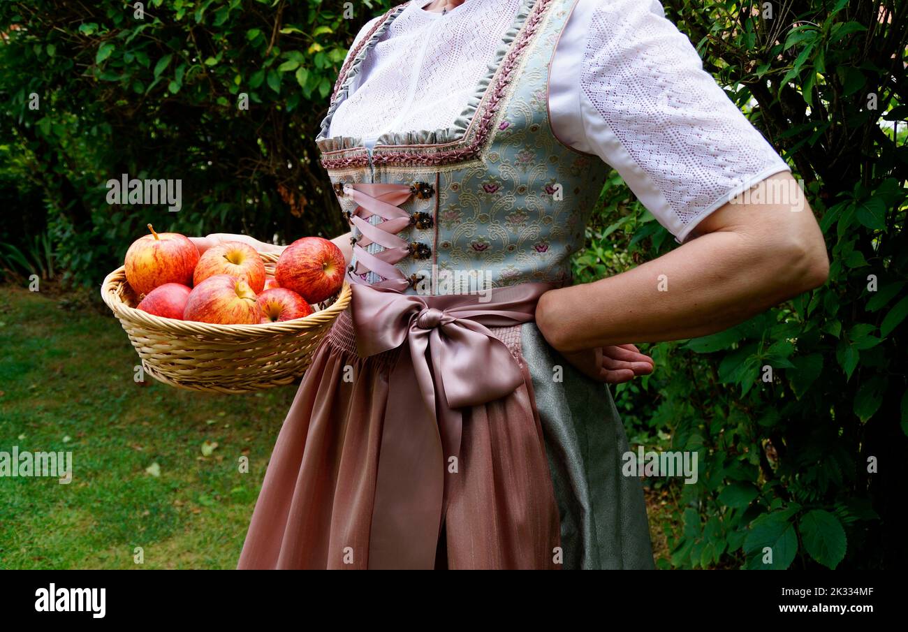 a woman in a beautiful traditional dirndl dress (or Tracht) holding a ...