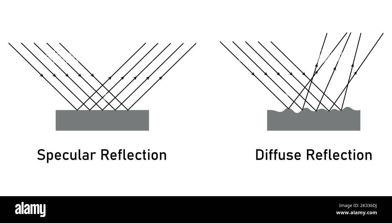 Specular And Diffuse Reflection Diagram Scientific Vector Illustration