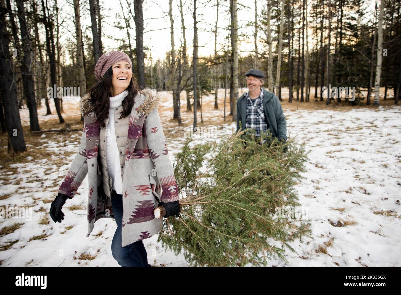 Christmas tree in the forest hi-res stock photography and images - Alamy