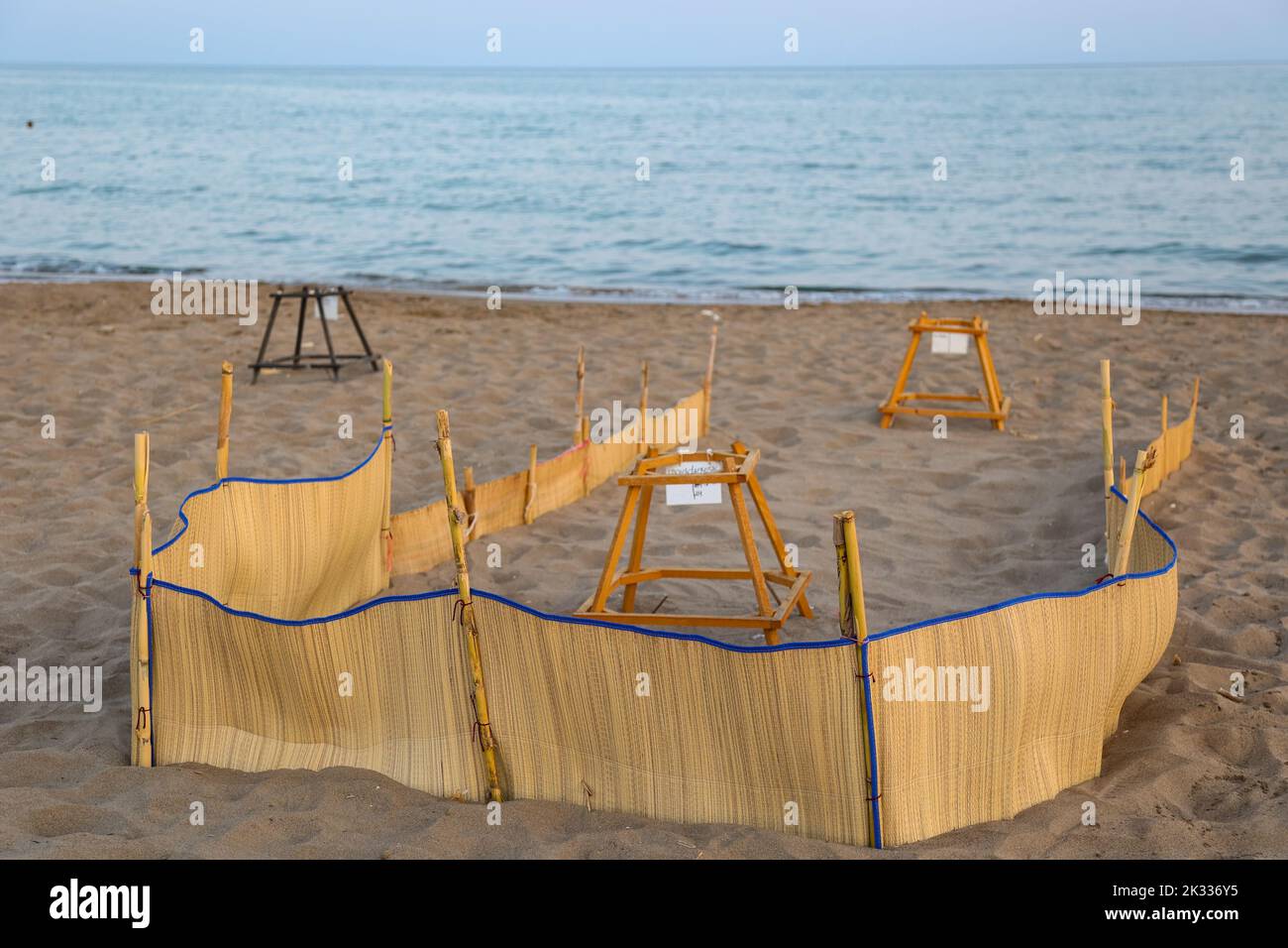 Loggerhead sea turtle nesting site. Greek island of Zakynthos, Kalamaki ...