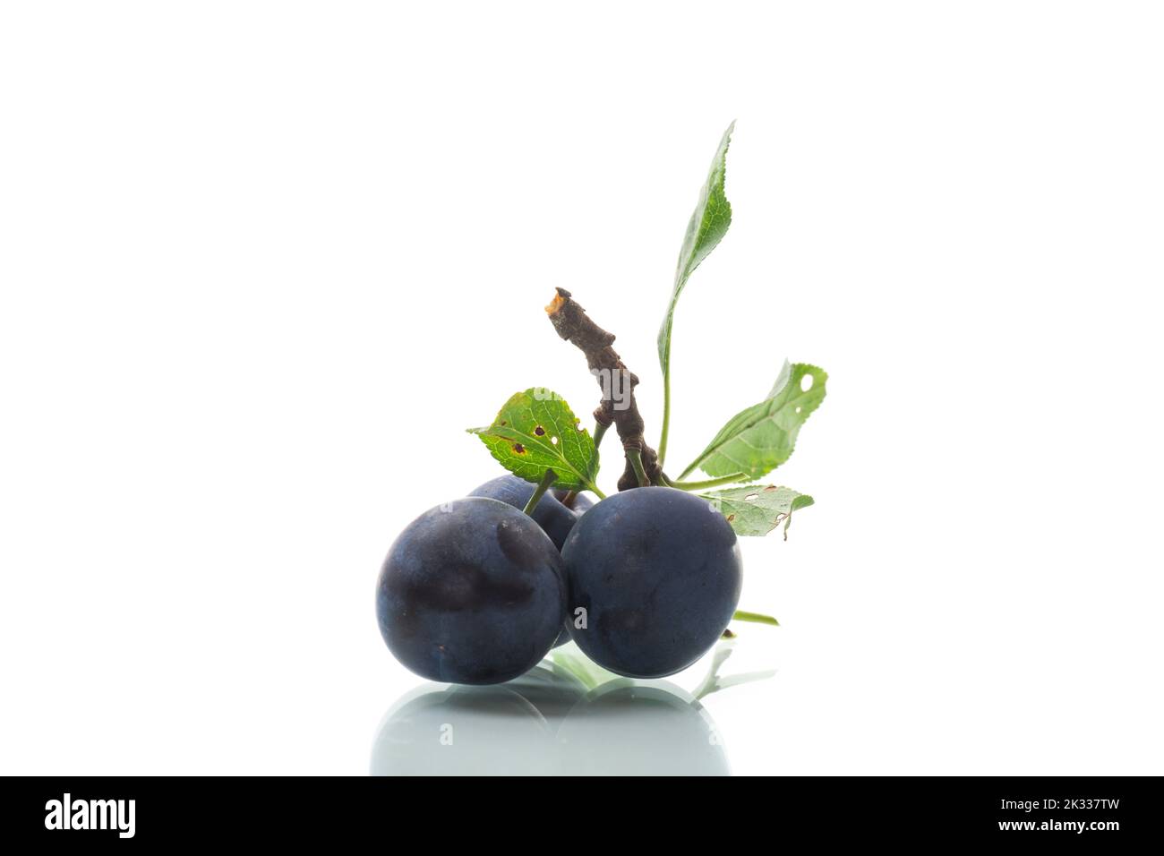 Ripe whole round plums with leaves isolated on white background Stock ...