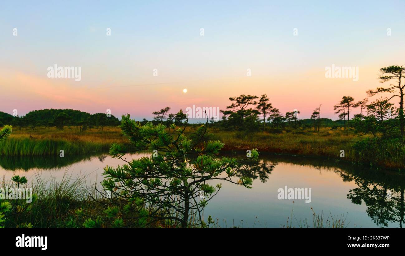 a wonderful sunrise picture with a gorgeous sky, a marsh at sunrise, a ...