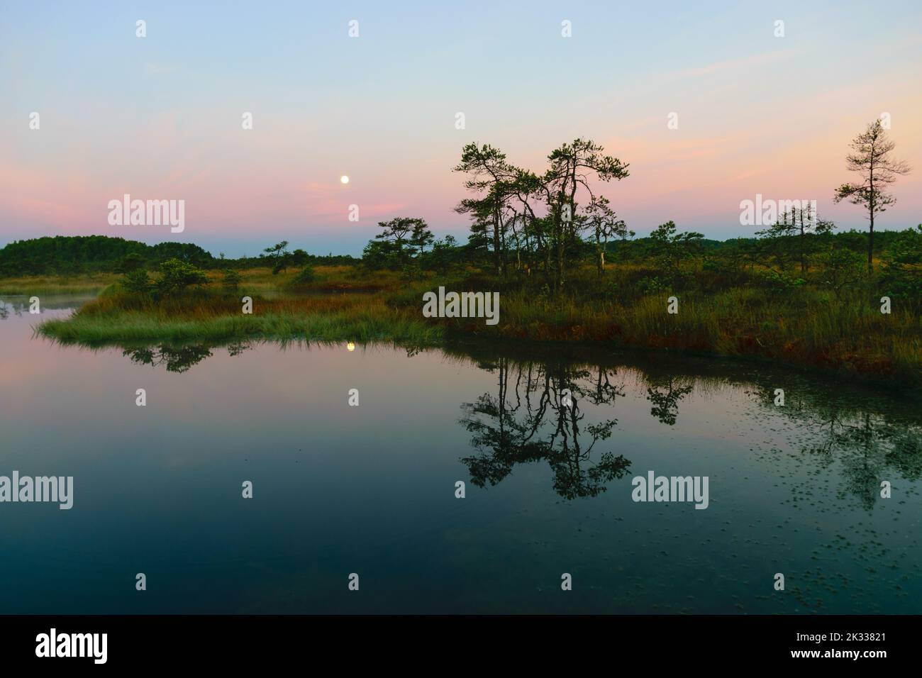 a wonderful sunrise picture with a gorgeous sky, a marsh at sunrise, a ...