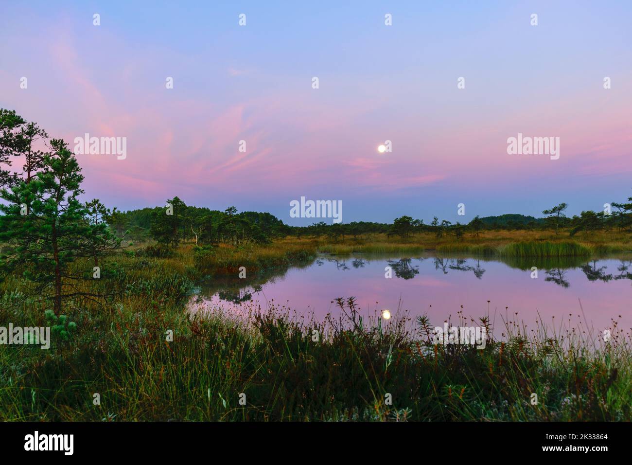 a wonderful sunrise picture with a gorgeous sky, a marsh at sunrise, a ...