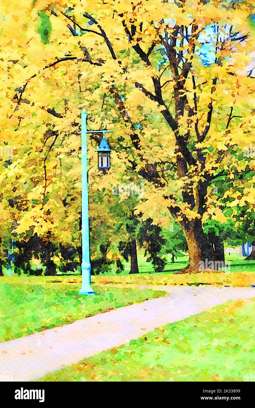 Digitally created watercolor painting of colorful yellow Fall foliage ...